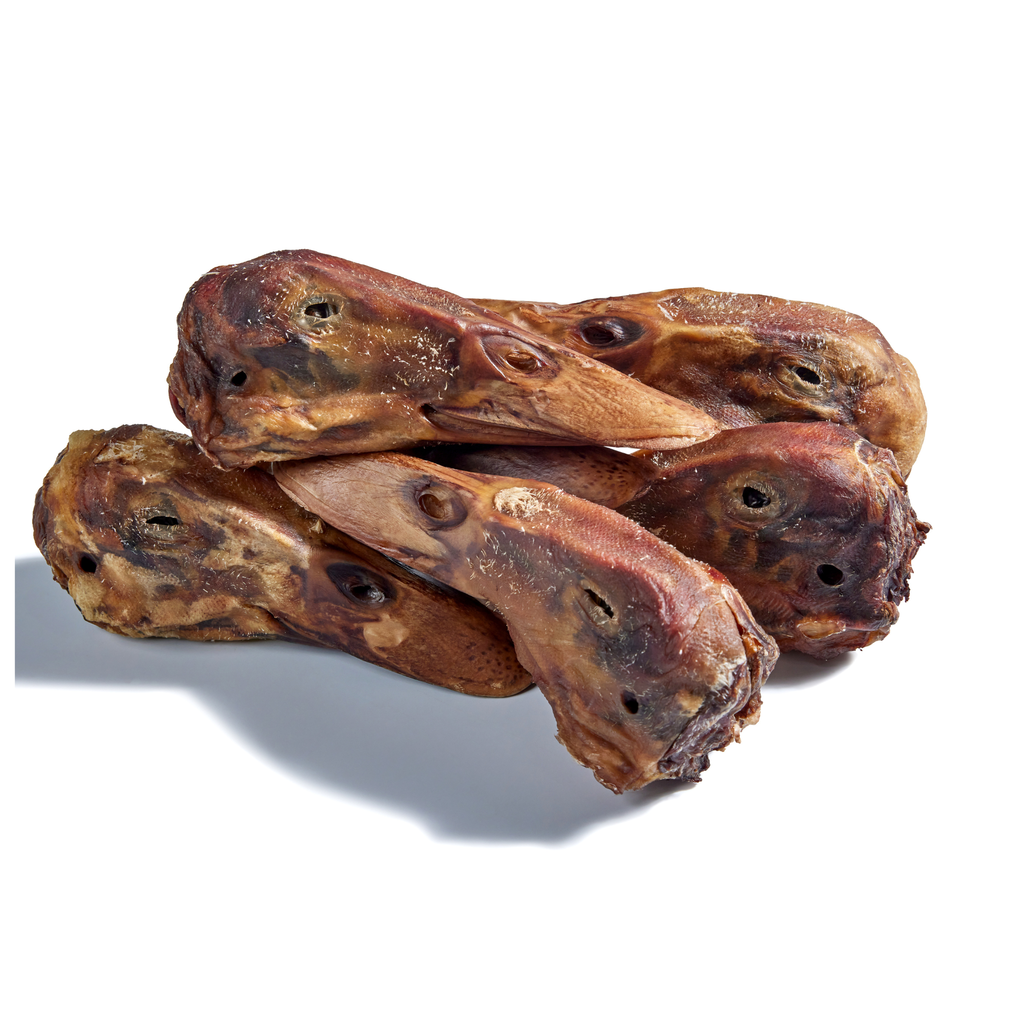 Dehydrated Duck Head - Single Ingredient Dog Treats – Just Raw Pet Food